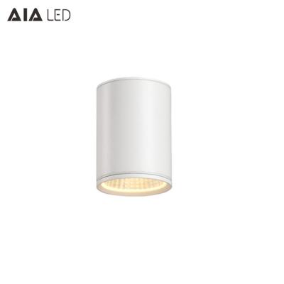 China IP65 waterproof surface mounted cylinder 15W COB LED downlight&outdoor LED down lamp for sale