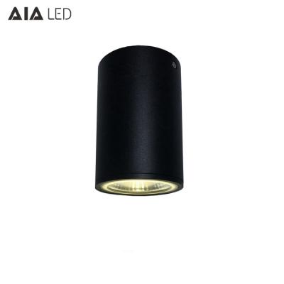 China IP65 waterproof ceiling mounted outdoor 12W COB LED downlight&exterior LED down light for sale