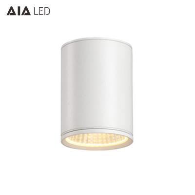China IP65 water proofing cylinder 40W COB LED downlight&exterior LED downligthing for home for sale