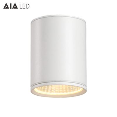 China IP65 waterproof surface mounted DALI downlight 70W 0-10V dimmable exterior led down light &exterior downlight for sale