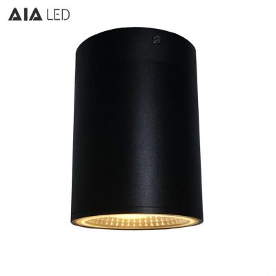 China IP65 waterproof round DALI dimmable 40W COB LED downlight&outdoor LED down light for sale