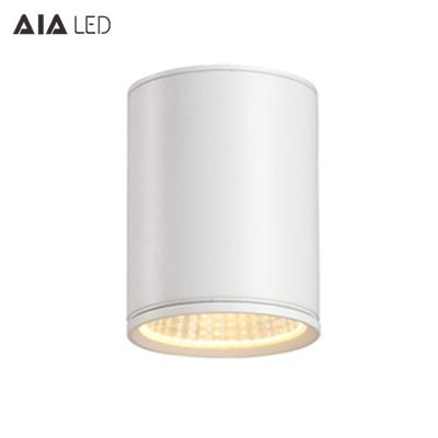 China IP65 waterproof exterior circular TRIAC dimmable 50W COB LED down light&outside LED downlight for balneary for sale