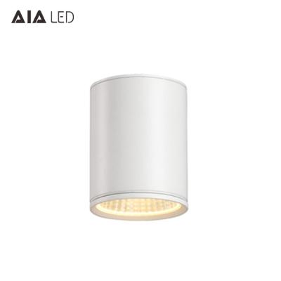 China IP65 waterproof cylinder 30W led down light &exterior led downlight outdoor for hotel for sale