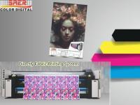 China Easy Operate Custom Sublimation Printing Machine For Fabric With 3 Epson 4720 Print Head for sale