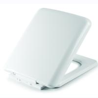 China White Polypropylene Soft Close Toilet Seat Cover with Modern Design for Indian Commode for sale