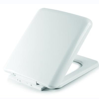 China White Polypropylene Soft Close Toilet Seat Cover with Modern Design for Indian Commode for sale