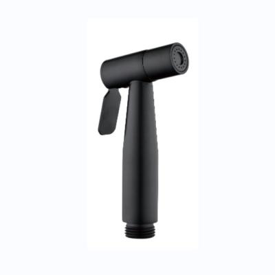 China Modern Design Stainless Steel Toilet Cold Handheld Bidet Diaper Set Sustainable Style for sale