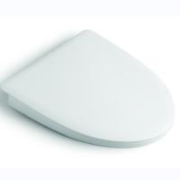 China Sustainable Characteristics Single Press Toilet Cover For Mass Demand OEM / ODM Support for sale