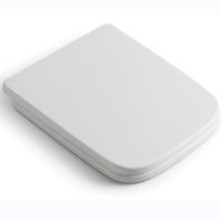 China Square White PP Toilet Seat Cover with One Button Quick Release and Slow-Close Function for sale