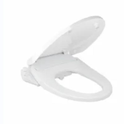 China Polypropylene Material Bidet Seat Cover with Double Nozzles and Soft Close for Sanitary Ware for sale