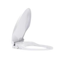 China Non Electric Manual Bidet Toilet Cover with Dual Nozzles and Slow-Close Toilet Seats in Modern White Design for sale