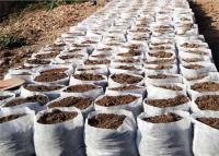 China White Biodegradable Non Woven Grow Bags Plant Grow Bag for sale