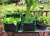 China Garden Fabric Square Pots Flower Grow Bag Non Woven Grow Bags With Handles for sale