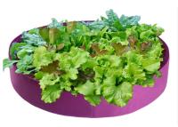 China 2mm Non Woven Grow Bags Round Raised Garden Bed Bags for sale