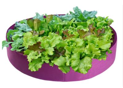 China 2mm Non Woven Grow Bags Round Raised Garden Bed Bags for sale