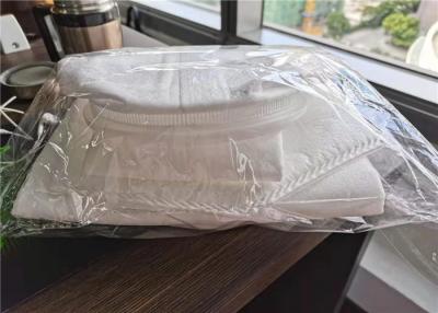 China Sentinel Sealing Ring Folded Pleated Filter Bag Bypass Free for sale