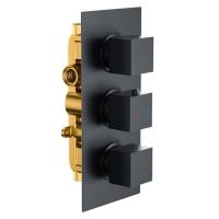 China Matt Black Concealed Valve Showers Concealed Thermostatic Mixer Shower Two Outlets for sale