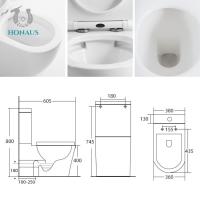 China Siphonic P/S Trap Ceramic Two Piece Toilet Bowl Sanitary Ware WC Customized for sale