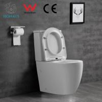 China Siphonic P/S Trap Ceramic Two Piece Toilet Bowl Sanitary Ware WC Customized for sale