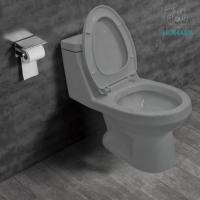 China Traditional Single Piece Water Closet Commode Anti Stain Glazed Odor Isolation for sale
