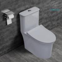China Inodorous One Piece Western Toilet 660x380x750mm Quick Detach Seat Cover Dual Flush Siphon Jet for sale