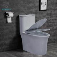 China Inodorous One Piece Western Toilet 660x380x750mm Quick Detach Seat Cover Dual Flush Siphon Jet for sale