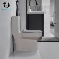 China Canadian Single Piece Wall Mounted Commode One Piece Wc 650*360*740mm for sale