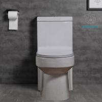 China Canadian Single Piece Wall Mounted Commode One Piece Wc 650*360*740mm for sale