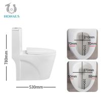 China CE Modern Dual Flush Elongated One Piece Toilet 680x380x780mm Siphon Flushing Floor Mounted for sale
