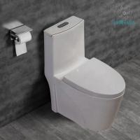 China CE Modern Dual Flush Elongated One Piece Toilet 680x380x780mm Siphon Flushing Floor Mounted for sale