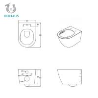 China Customized Rimless Bathroom Toilet Bowl Washdown Wall Mounted Commode for sale