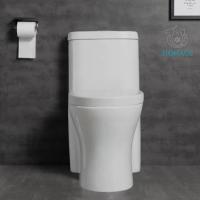 China OEM One Piece Toilet Bowl 700x375x765mm Soft Closing Mute Cover Siphon Flush for sale
