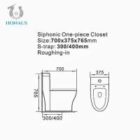 China OEM One Piece Toilet Bowl 700x375x765mm Soft Closing Mute Cover Siphon Flush for sale