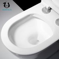China Exquisite Dual Flush Wall Hung Commode Hotel Concealed Cistern WC No Stains for sale