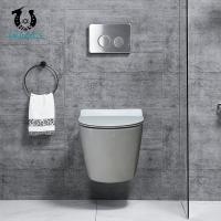 China Exquisite Dual Flush Wall Hung Commode Hotel Concealed Cistern WC No Stains for sale