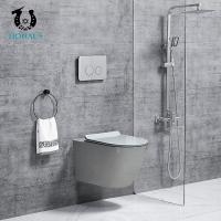 China Exquisite Dual Flush Wall Hung Commode Hotel Concealed Cistern WC No Stains for sale