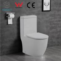 China ISO American Standard One Piece Toilet Floor Mounted Dual Flush 630x370x810mm S Trap for sale