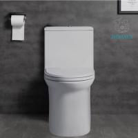China Siphonic Flushing One Piece Toilet 730x370x760mm S Trap Dual Flush for sale