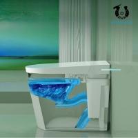 China Auto Sensor Smart Intelligent Toilet Multifunctional Electric Water Closet for sale