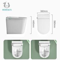 China Auto Sensor Smart Intelligent Toilet Multifunctional Electric Water Closet for sale