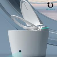 China Dubai Hotel Smart Intelligent Toilet Luxury Multi Cleaning Customized for sale