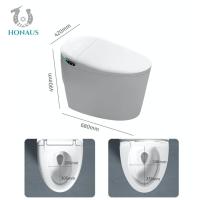 China Dubai Hotel Smart Intelligent Toilet Luxury Multi Cleaning Customized for sale
