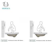 China Ceramic Squatting Pan 560x420x190mm with Cistern S Trap P Trap White Toilet for sale