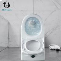 China Ceramic One Piece Toilet Bowl 250mm S-Trap Floor Mounted Dual Flush Sanitary Ware for sale