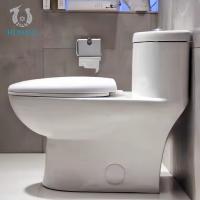 China Nano Glaze Ceramic One Piece Toilet Bowl S Trap Siphonic Jet 715x355x640mm Dual Flush for sale