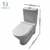 China Ceramic One Piece Toilet Bowl 390x390x450mm 250mm Floor Mounted Dual Flush for sale
