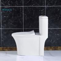 China Ceramic One Piece Toilet Bowl 390x390x450mm 250mm Floor Mounted Dual Flush for sale