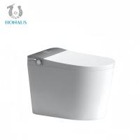 China Smart Intelligent Toilet Seat Warmer with Auto Flush S Trap 200mm Premium Ceramic White Grey for sale