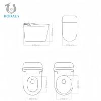 China Smart Intelligent Toilet Seat Warmer with Auto Flush S Trap 200mm Premium Ceramic White Grey for sale