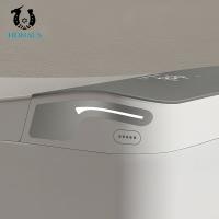 China Smart Intelligent Toilet Seat Warmer with Auto Flush S Trap 200mm Premium Ceramic White Grey for sale